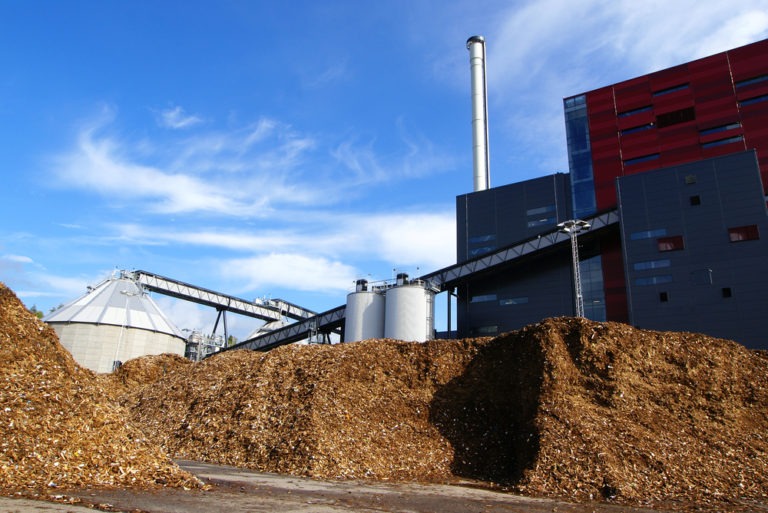 HempWave to Produce Tonnes of Hemp Biomass in 2019 - Hemp IM